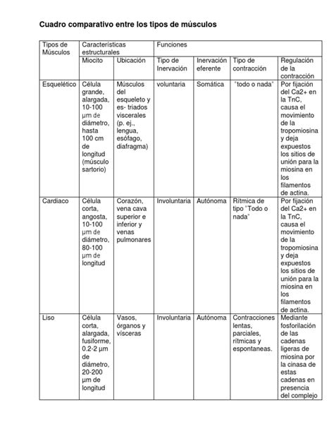 Tipos De Músculos Cuadro Comparativo Pdf Músculo Contracción