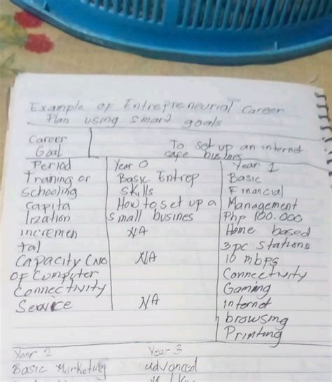 Example Of Entrepreneurial Career Plan Using StudyX