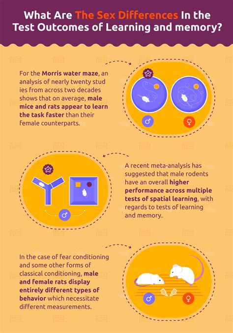 Are There Sex Differences In The Test Outcomes Maze Engineers
