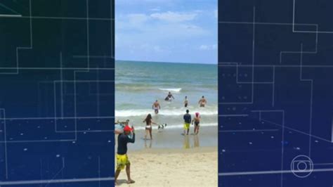 Praia No Grande Recife Registra Dois Ataques De Tubarão Em Pouco Mais