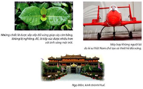 Vai Trò Của Tính đối Xứng Trong Thế Giới Tự Nhiên Trong Kĩ Thuật đời