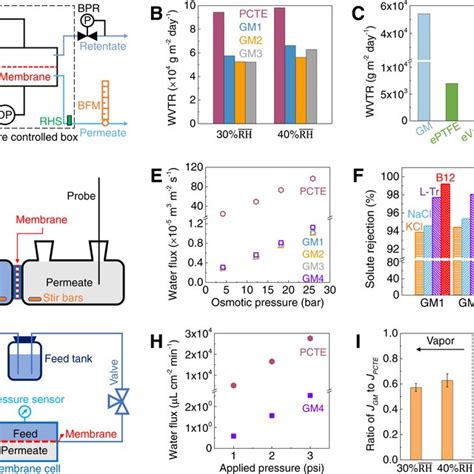 Pdf Differences In Water And Vapor Transport Through Angstrom Scale Pores In Atomically Thin