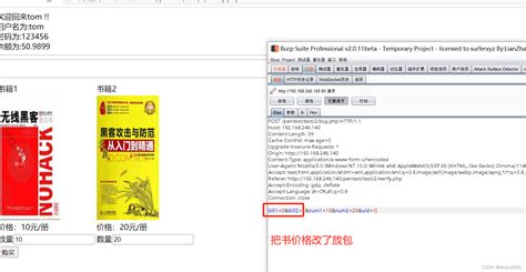 Web应用逻辑漏洞检测与防御:实例与对策 Csdn博客 Web应用逻辑漏洞检测与防御:实例与对策 Csdn博客