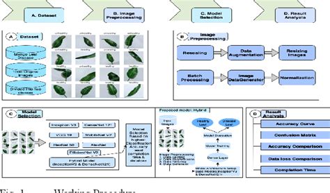 Figure 1 From Deep Learning For Detection Of Mango Leaf Disease A
