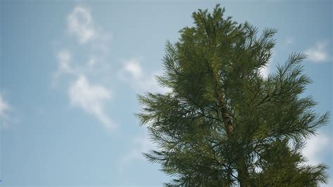 D Model Pine Trees High Quality Low Poly Models UE Unity Vray Corona VR AR Low Poly
