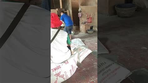 Proses Penggilingan Padi Menjadi Beras YouTube