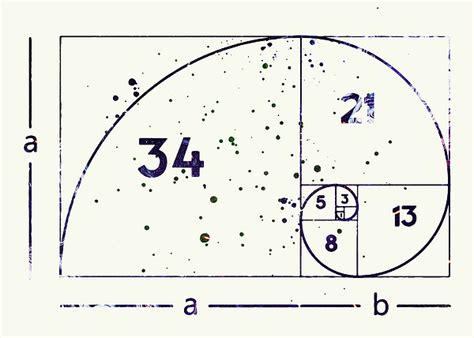 Watercolor Fibonacci Spiral Watercolor Print Fibonacci Sequence Numbers