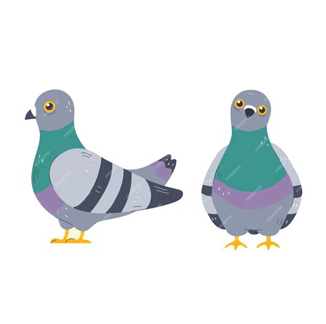 비둘기 캐릭터 세트 만화 캐릭터 그림 아이콘입니다 흰색 배경에 고립 비둘기 비둘기 개념 프리미엄 벡터