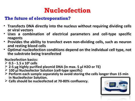 Transformation And Transfection Ppt