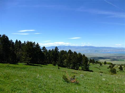 Hidden Hollow Hideaway Cattle And Guest Ranch Reviews Townsend Mt