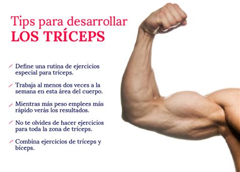 Los 4 Mejores Ejercicios Con Mancuernas Para Tener Biceps Grandes Y