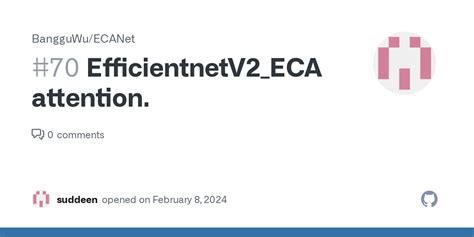 EfficientnetV ECA Attention Issue BangguWu ECANet GitHub