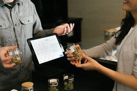 London Pound Cake Strain Effect Medical Benefits And More