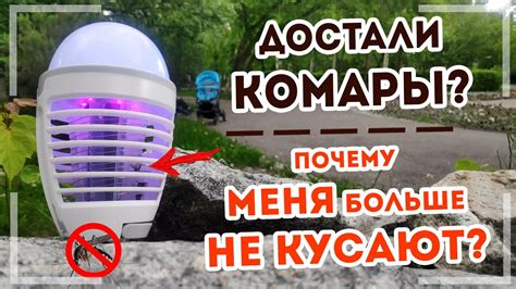 XIAOMI ЛАМПА ОТ КОМАРОВ🔥 ЗАЧЕМ комары пьют КРОВЬ🔥СКОЛЬКО живут комары ...