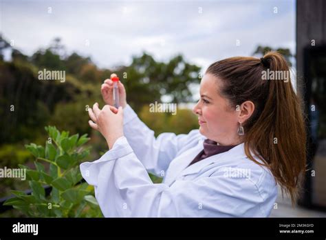 Australian Crop Research Hi Res Stock Photography And Images Alamy