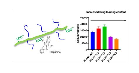 Drug Loading Content Influences Cellular Uptake Of Polymer Coated