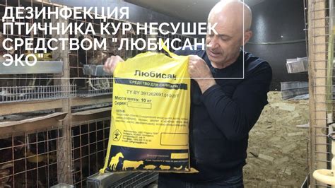 Действующая Дезинфекция Птичника | Любисан-Эко - YouTube