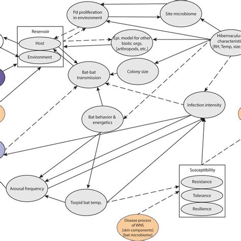 epidemiology sub‐diagram nodes grouped within boxes i e “reservoir
