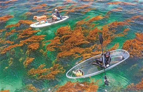 【高质量发展】向海而兴 向海图强——广西大力发展向海经济建设海洋强区 综合要闻 广西壮族自治区海洋局网站 Cn