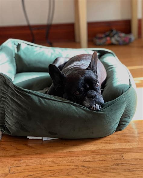 Celia Soudry Celiasoudry • Instagram Photos And Videos