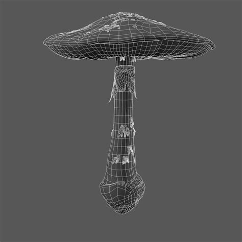 Amanita Big Mushroom 3D Model 29 Ma Obj Fbx C4d Free3D