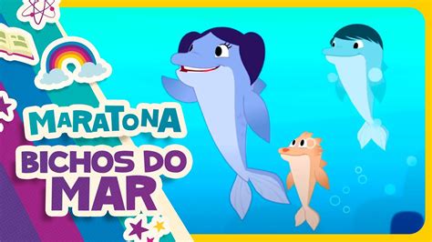 Maratona Bichos Do Mar O Show Da Luna Youtube