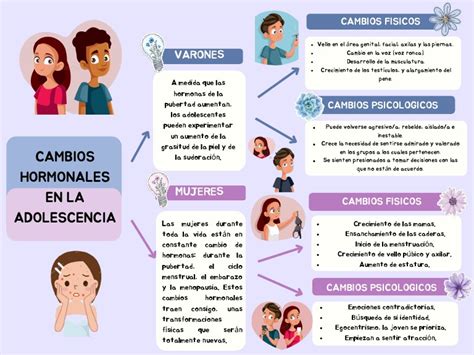 Cambios Hormonales En La Adolescencia Pdf