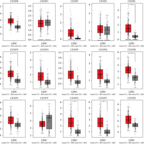 The Expression Of Cenpl Protein In Tumor And Normal Tissues