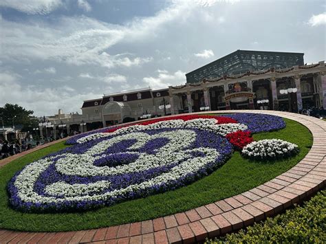 11月7日 現地よりディズニーランド スニーク やまあこさんのディズニー＆時々チワワ日記♪