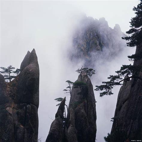 黄山和泰山哪个更高泰山虽名黄山更高揭秘两座山的海拔之谜 文化 历史 大自然