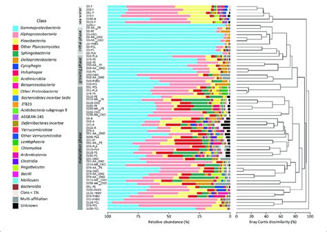Temporal Variation Of Taxonomic Abundances And Community Structure Of Download Scientific