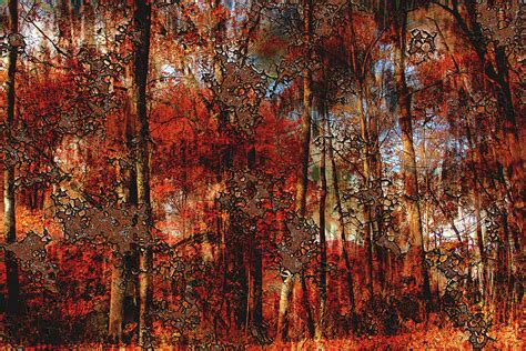 Autumn Abstract 2 Photograph By Hh Photography Of Florida