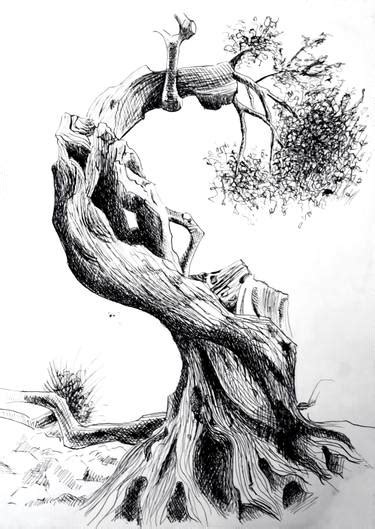 Pen And Ink Tree Drawings At PaintingValley Com Explore Collection Of Pen And Ink Tree Drawings