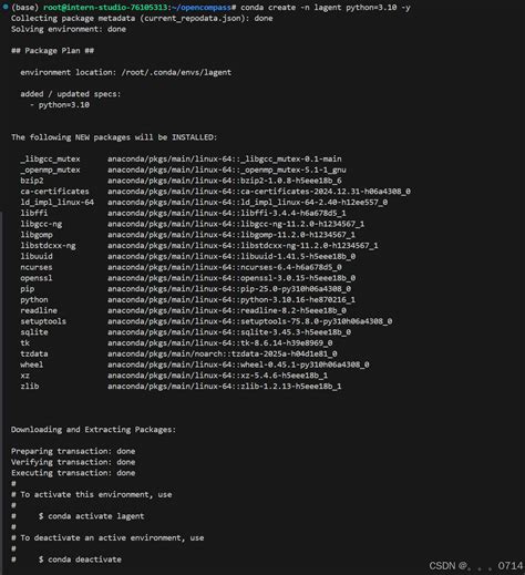 第四期书生大模型实战营【进阶岛】—— Lagent 自定义你的 Agent 智能体大模型中python写agent Csdn博客