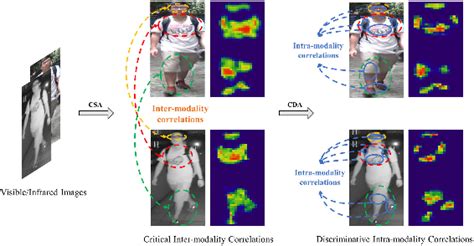 Figure 1 From Correlation Guided Semantic Consistency Network For Visible Infrared Person Re