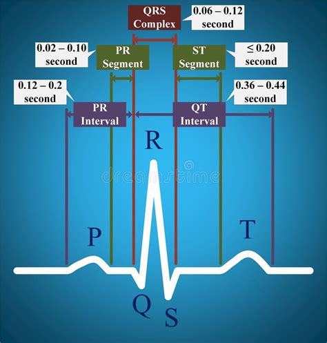 Ecg Or Electrocardiogram Showing Normal Time Duration Stock