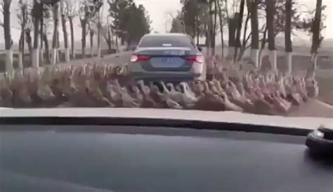 Video Jonathan Aufray On Linkedin Jobs Business Management