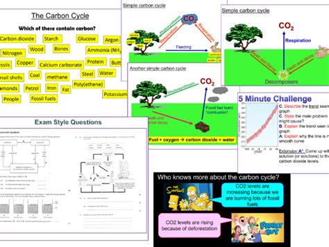 Carbon Cycle Teaching Resources