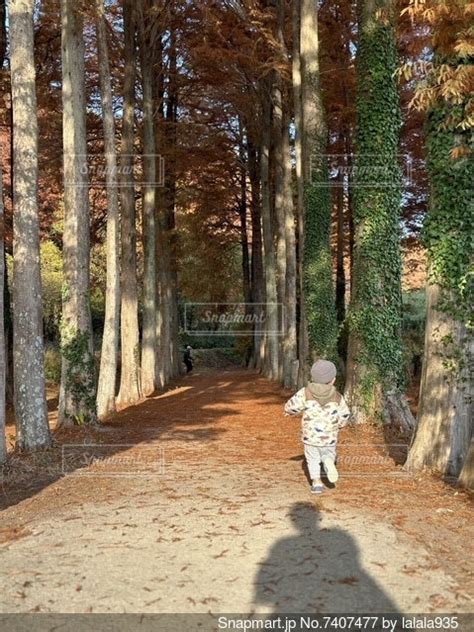 大きな木のそばの、元気いっぱいの男の子の後ろ姿の写真・画像素材 Snapmart（スナップマート）