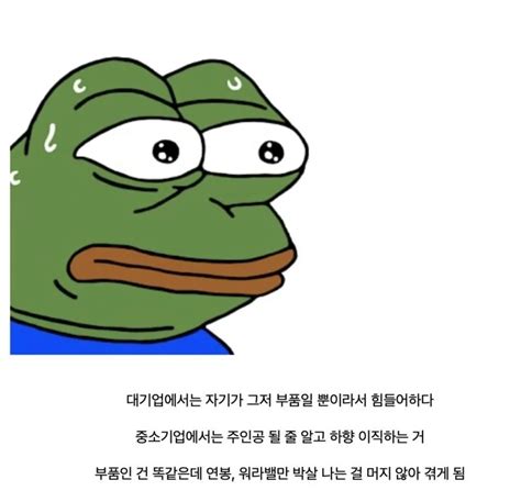 Daum 카페