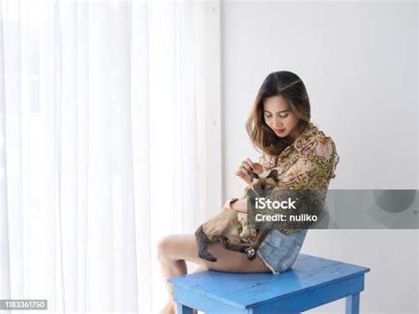 집에서 창문 빛으로 고양이를 들고 미소 짓는 아시아 여성 가냘픈에 대한 스톡 사진 및 기타 이미지 가냘픈 가르랑거림