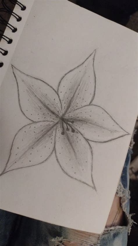 is this considered stipple shading or are the dots just freckles on