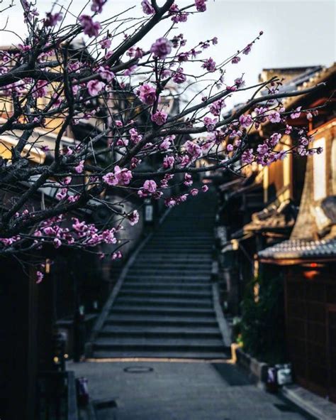 日本 街道 堆糖美图壁纸兴趣社区