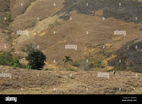 A Farmer Carrying Pesticide Sprayer Walking On Dry Grassland On Hilly