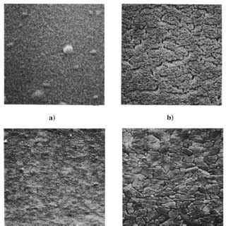 Scanning Electron Micrographs Showing The Surface Morphology Of Four Download Scientific