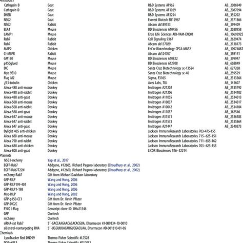 Rab7 Negative Compartments Are Not Clustered By Rilp Overexpression A
