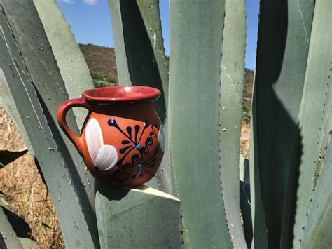 Premium Photo Pulque And Maguey The Essence Of Mexico Rich Cultural