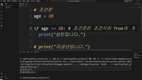23 10 14 파이썬 기초 12강 If 조건문 Youtube