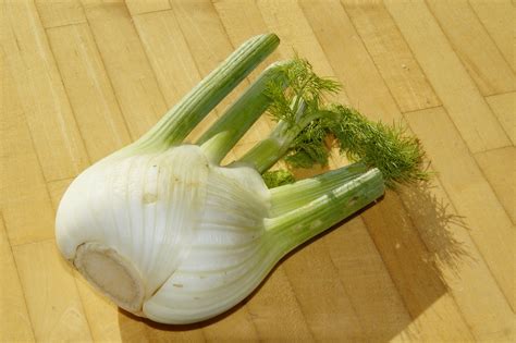 Tips For Growing Fennel At Home Gardening Sun