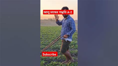 আলু চাষ পদ্ধতি A Z । Potato Cultivation Methods A Z । কৃষক হাসে ফসল